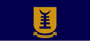 Access Professional Programmes – UPSA